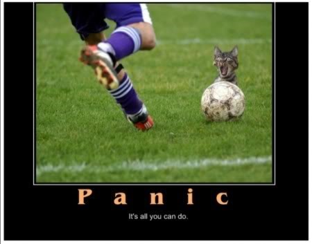 Lolcats - panic - LOL at Funny Cat Memes - Funny cat pictures with ...