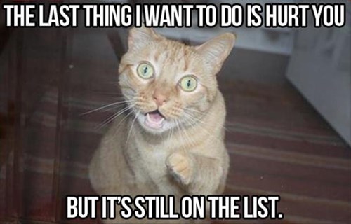 And I'm on the Second-to-Last Item - Lolcats - lol | cat memes | funny ...