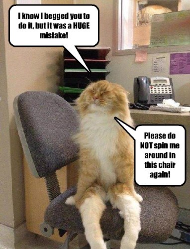 I may be sick! - Lolcats - lol | cat memes | funny cats | funny cat ...