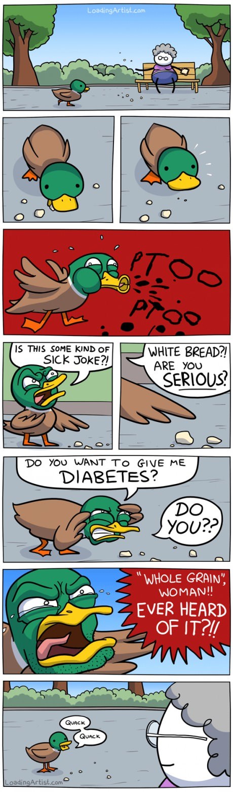 The Meaning Behind a Duck's Quacks - Web Comics - 4koma comic strip ...