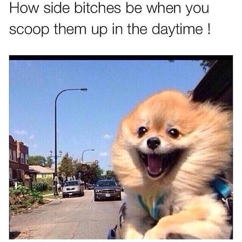 Never Been Happier - Dating Fails - dating memes, dating fails, fail ...