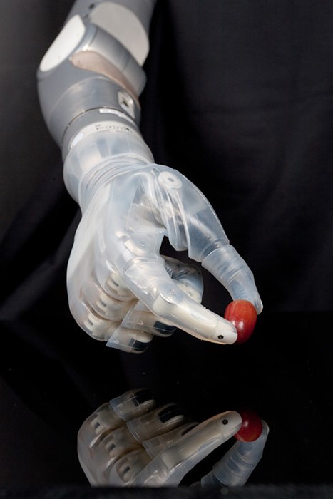 FDA Approves Prosthetic Hands - School of Fail - homework class test