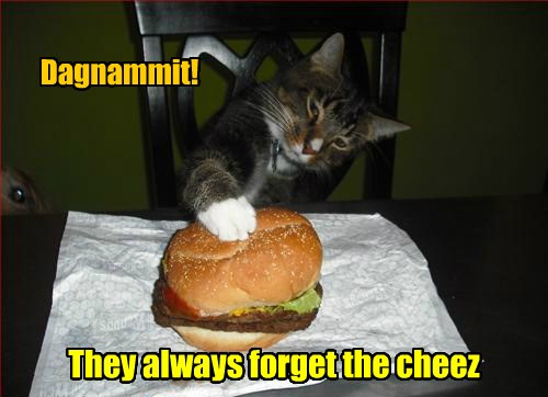 I Wish They'd Forget the Lettuce Instead... - Lolcats - lol | cat memes ...