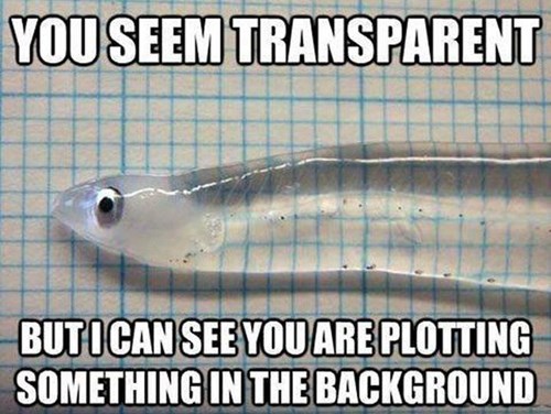 You're Not Fooling Anyone, Eel! - Memebase - Funny Memes