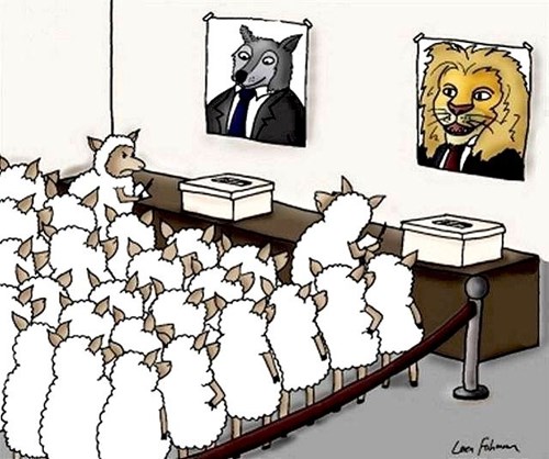 Wake Up, Sheeple! - Web Comics - 4koma comic strip, webcomics, web comics