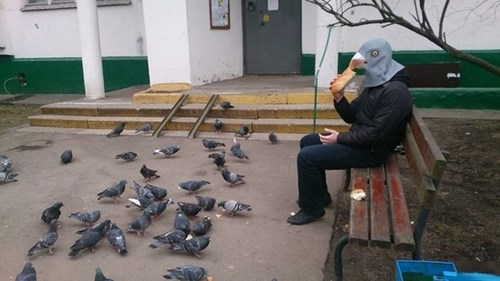 FAIL Blog - pigeon mask - Epic FAILs funny videos - Funny Fails ...