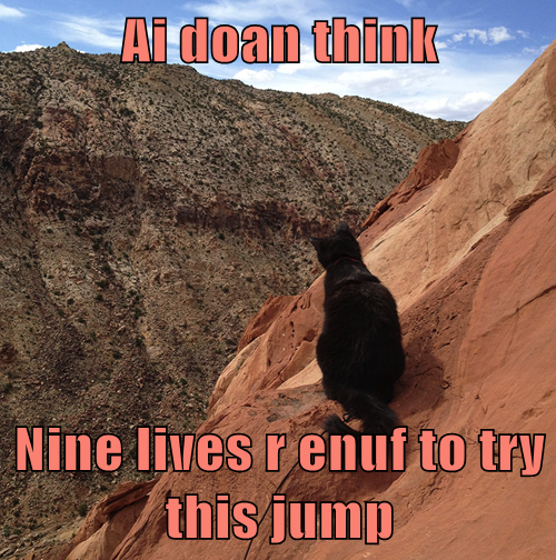 Lolcats - 9 lives - LOL at Funny Cat Memes - Funny cat pictures with ...