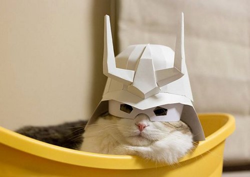 Lolcats - masks - LOL at Funny Cat Memes - Funny cat pictures with ...