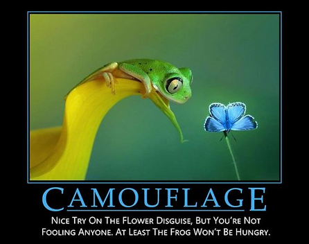 Memebase - frog - Page 4 - All Your Memes In Our Base - Funny Memes ...