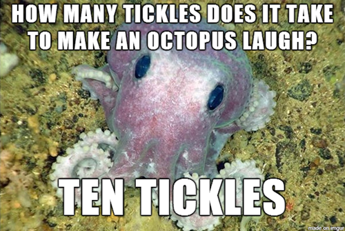 Art of Trolling - jokes - Troll Tricks and Pranks - Trolling 101 ...