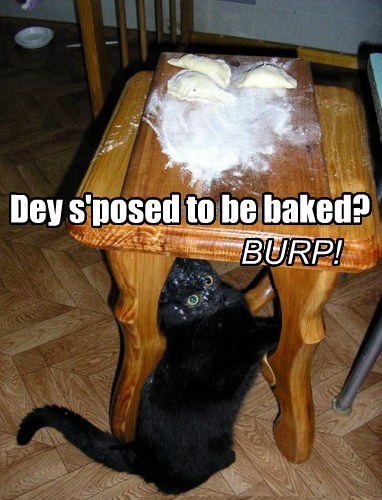 It Didn't Say That in the Recipe! - Lolcats - lol | cat memes | funny ...