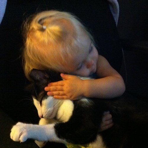 First Best Friend - Parenting Fails - crazy parenting fails - funny ...