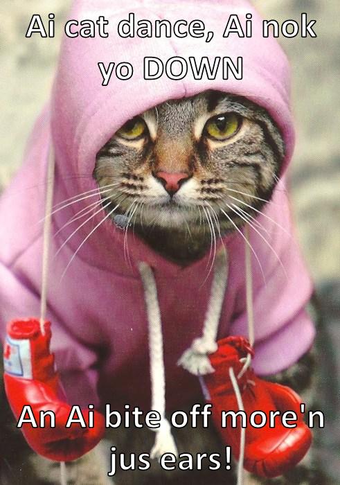 Don't Mess Wit Meh! - Lolcats - lol | cat memes | funny cats | funny ...