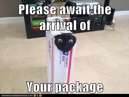 Lolcats - shipping - LOL at Funny Cat Memes - Funny cat pictures with ...