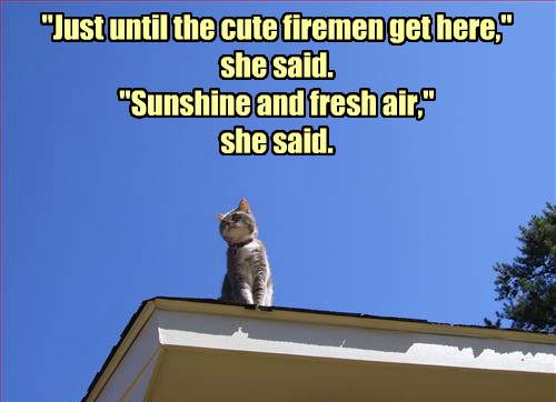 How Dare You Use Me as Fireman Bait! - Lolcats - lol | cat memes ...