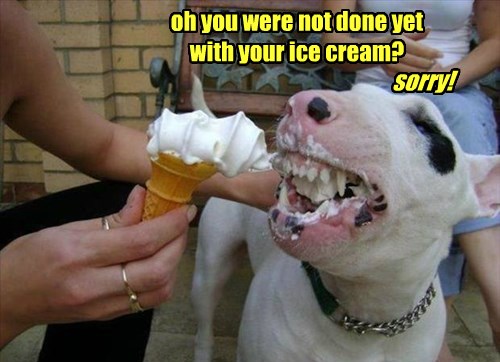 Melting Dog Memes Dog Melt Memes & GIFs Imgflip