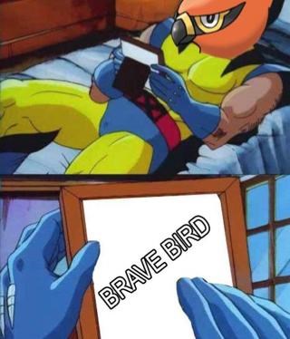 Pokémemes - brave bird - Pokemon Memes - Pokémon, Pokémon GO - Cheezburger