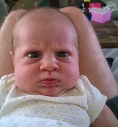 How Babies Communicate - Parenting - crazy parenting fails - funny ...