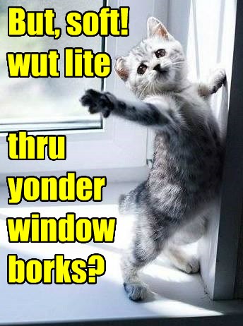 Who Borked da Window? - Lolcats - lol | cat memes | funny cats | funny ...