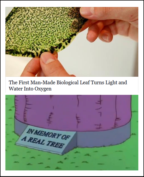 Simpsons Did It? - Cartoons & Anime - Anime | Cartoons | Anime Memes ...