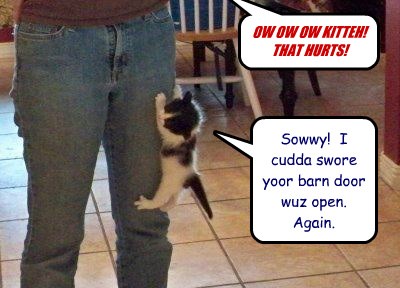 Just Tryin' to Help! - Lolcats - lol | cat memes | funny cats | funny ...