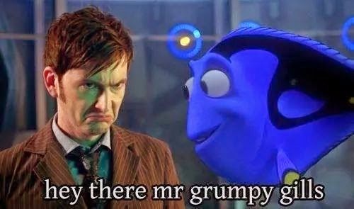 Mr Grumpy Gills Quote