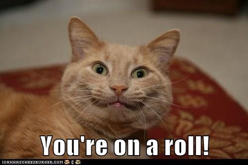 You're on a roll! - Cheezburger - Funny Memes | Funny Pictures