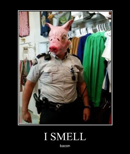 Memebase - pig - Page 5 - All Your Memes In Our Base - Funny Memes ...