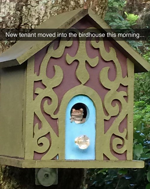 He Said the Place was Pretty Fly - Animal Comedy - Animal Comedy, funny ...