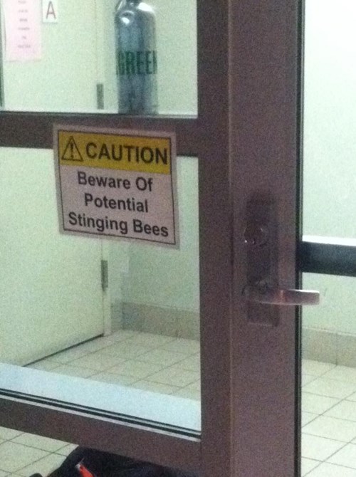 How You Know It's Going to "Bee" a Bad Day at Work - Monday Thru Friday ...