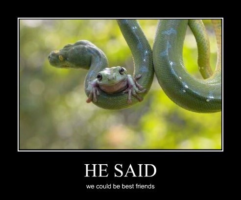 Never Trust Serpents - Very Demotivational - Demotivational Posters ...