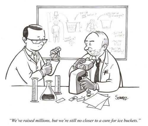 Science is Costly - Web Comics - 4koma comic strip, webcomics, web comics