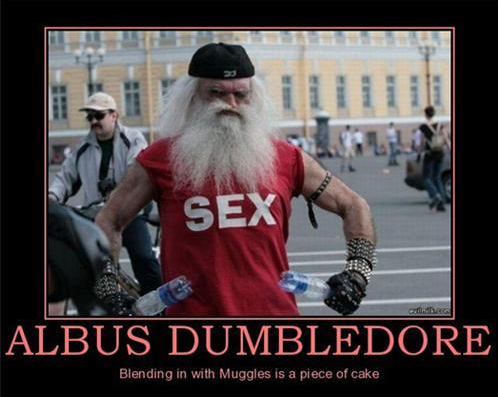 Albus Is a Master of Disguise - Very Demotivational - Demotivational ...