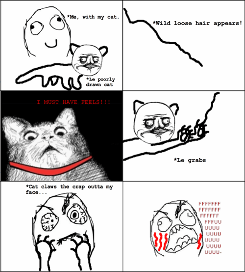CATS! - Rage Comics - rage comics