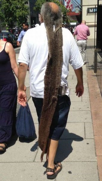 FAIL Blog - bald - Page 2 - Epic FAILs funny videos - Funny Fails ...