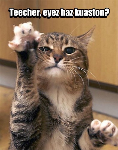 Remeber Kittens, Three Pets Only, Anymore And You Must Scratch Your ...