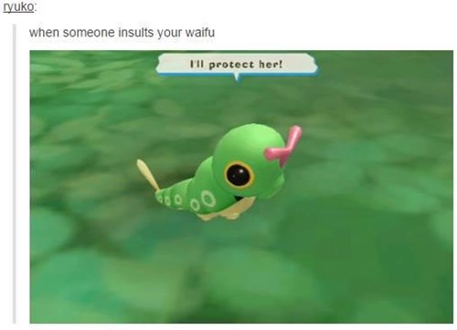 Pokémemes - waifu - Pokemon Memes - Pokémon, Pokémon GO - Cheezburger