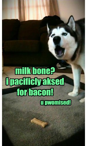 Milk Bones Are At The Bottom Of The Treat Pyrmaid - I Has A Hotdog ...