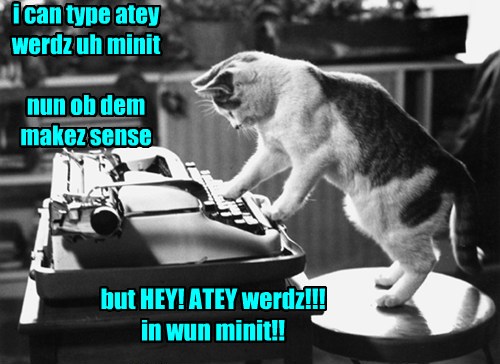 Dis's Got To Be a Record Or Sumfin' - Lolcats - lol | cat memes | funny ...