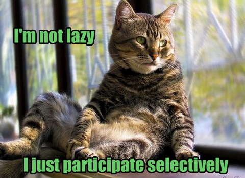 Lolcats - lazy - Page 3 - LOL at Funny Cat Memes - Funny cat pictures ...