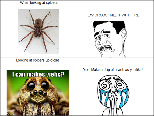 Rage Comics - spider - Rage Comics - rage comics - Cheezburger