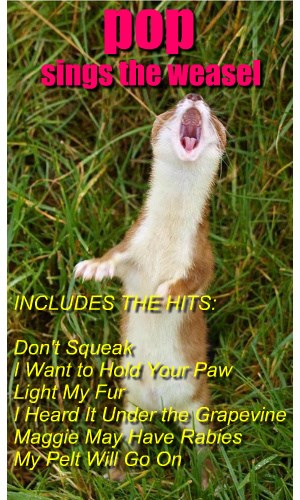 Animal Comedy - weasels - Animal Comedy - Animal Comedy, funny animals ...
