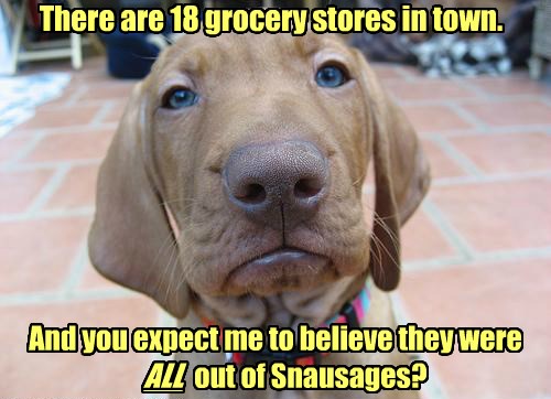 It's A Wonder Your Pants Aren't On Fire - I Has A Hotdog - Dog Pictures ...