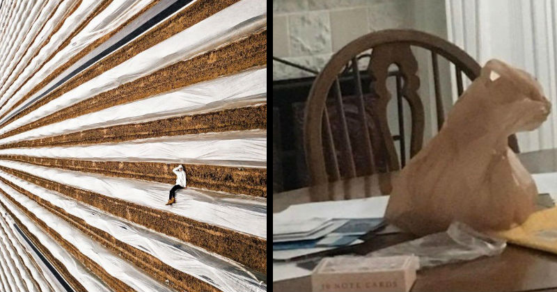27 Brain-Duping Images Of Skewed Perspective - FAIL Blog - Funny Fails