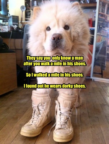 I Has A Hotdog - chow chow - Funny Dog Pictures | Dog Memes | Puppy ...