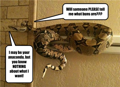 PSA: Anacondas Don't Want Your Buns Hun - Animal Comedy - Animal Comedy ...
