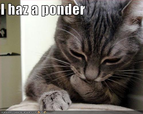 I haz a ponder - Cheezburger - Funny Memes | Funny Pictures