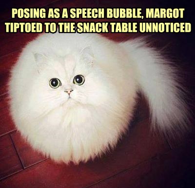 Lolcats - bubble - LOL at Funny Cat Memes - Funny cat pictures with words on them - lol | cat ...