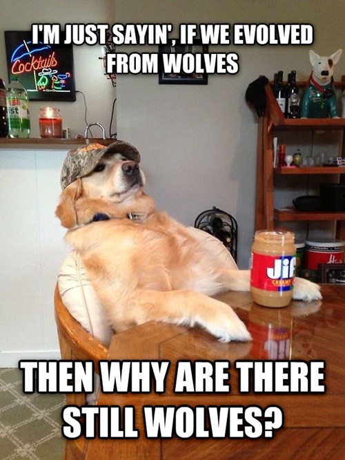 Memebase - evolution - Page 3 - All Your Memes In Our Base - Funny ...