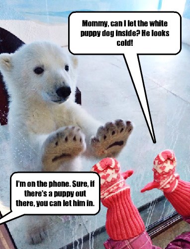 The Calm Before the Storm - Animal Comedy - Animal Comedy, funny ...